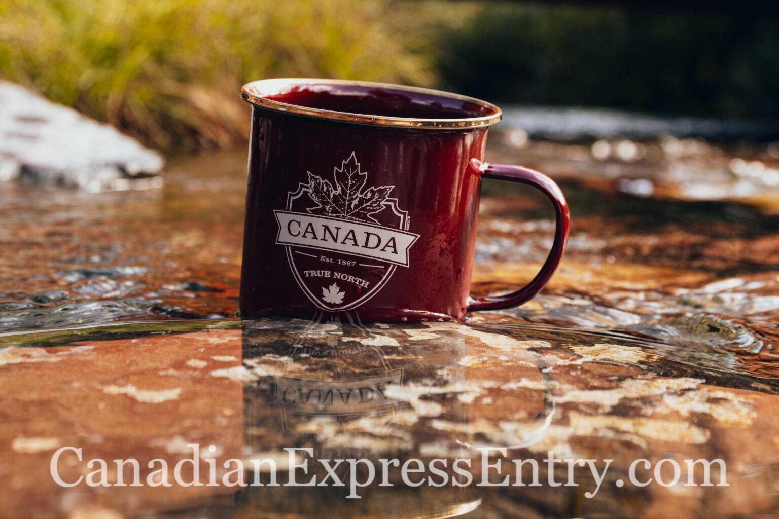 CanadianExpressEntry.com - Canadian Express Entry - Immigration Canada